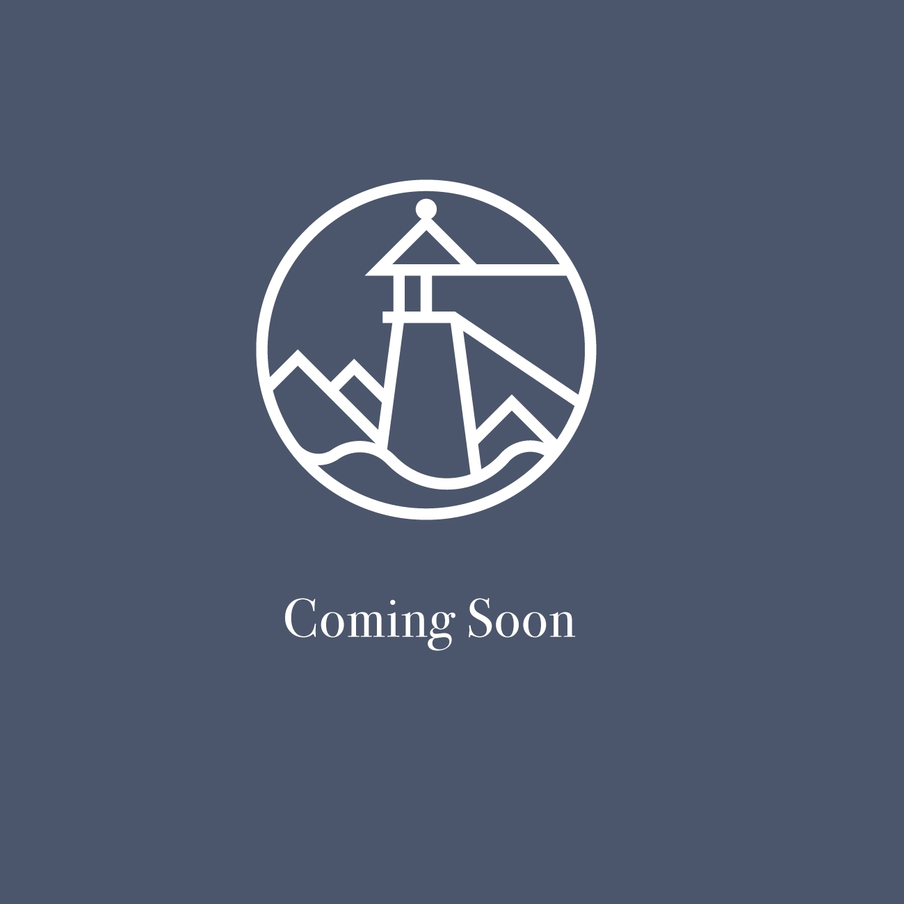 Meet the team | Lighthouse Management Group